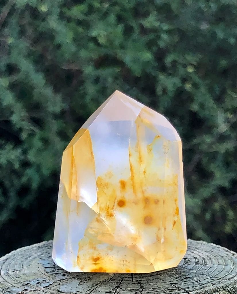 Golden Healer: Unveiling Its Meaning, Uses & Benefits