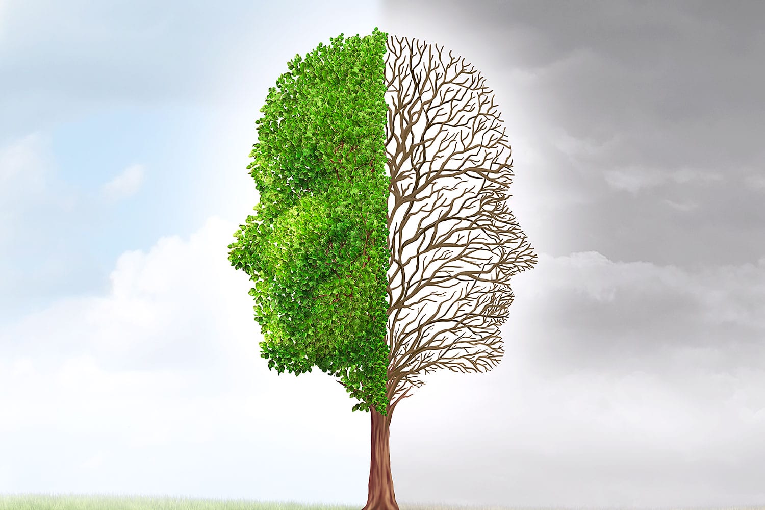 Discover the Magic of Sapphire: Meaning, Uses & Benefits