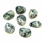 Tree Agate Unveiled: Discover Its Meaning, Uses & Benefits