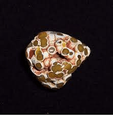 Orbicular Jasper: Unveiling Its Meaning, Uses & Benefits